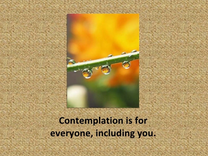 Contemplation is for everyone