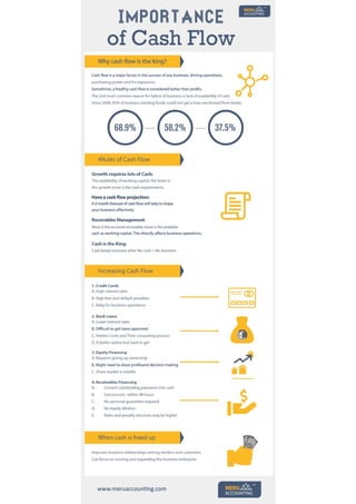 Meru Accounting | PDF