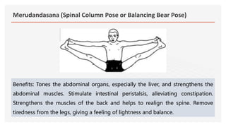 Merudandasana (Spinal Column Pose or Balancing Bear | PPT