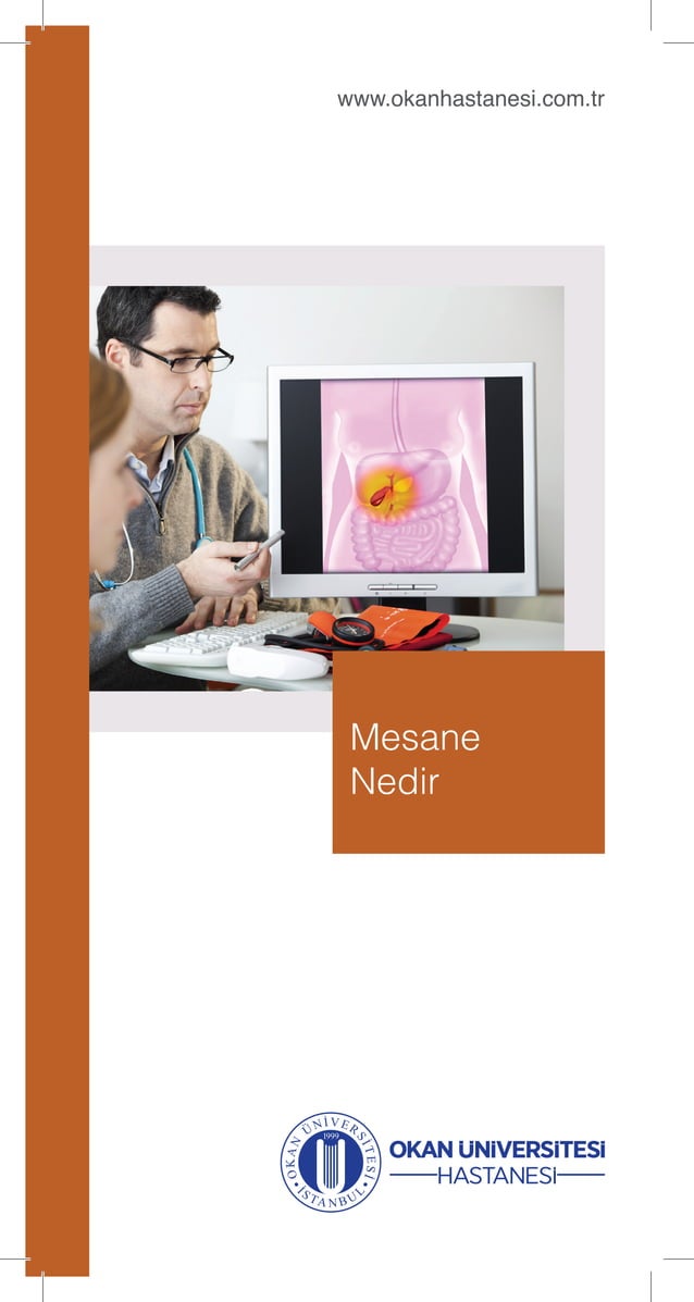 Mesane nedir? | PDF