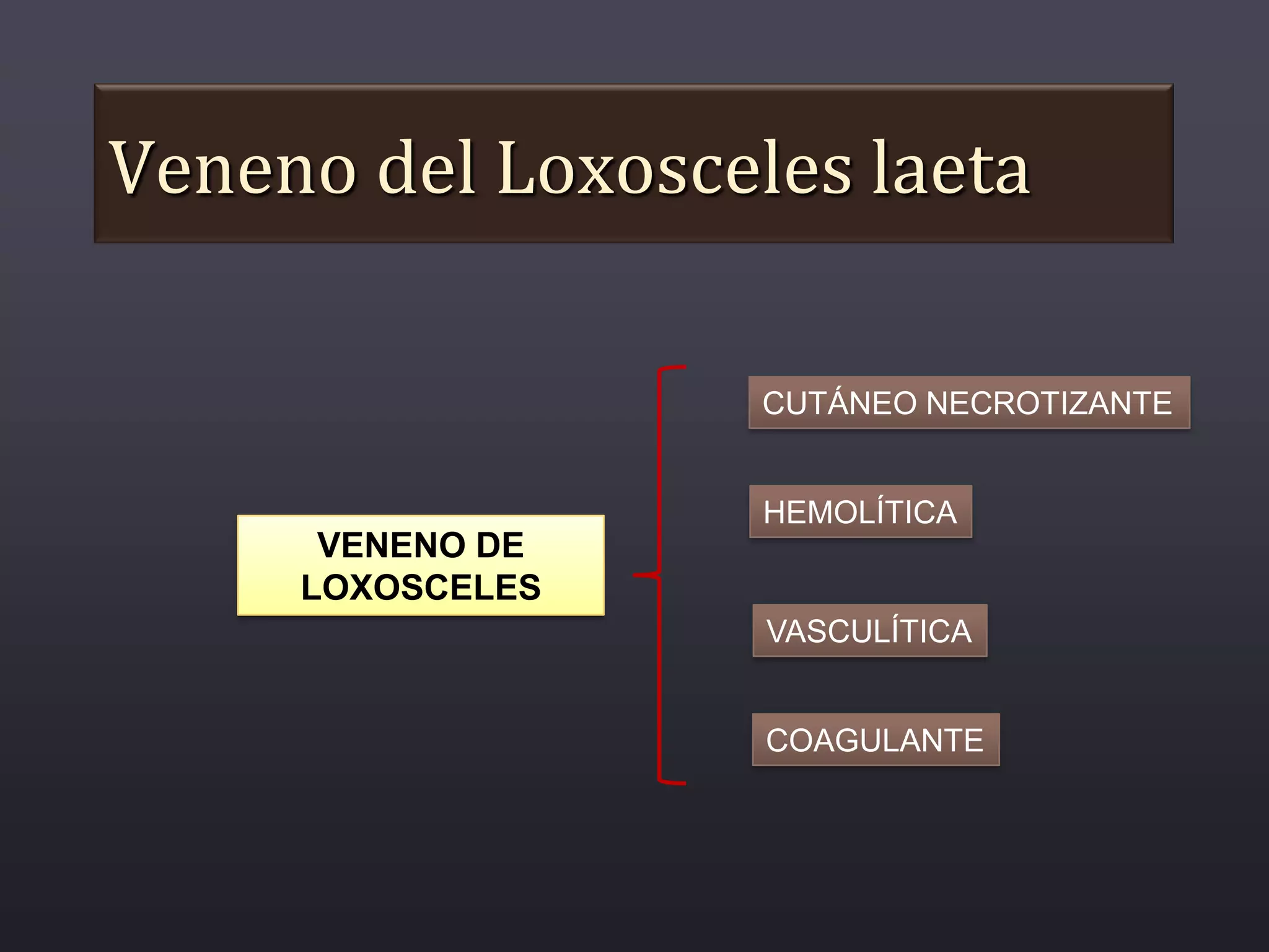 ARACNOIDISMO - LOXOSCELES LAETA | PPT