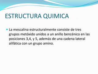 Mescalina | PPTX