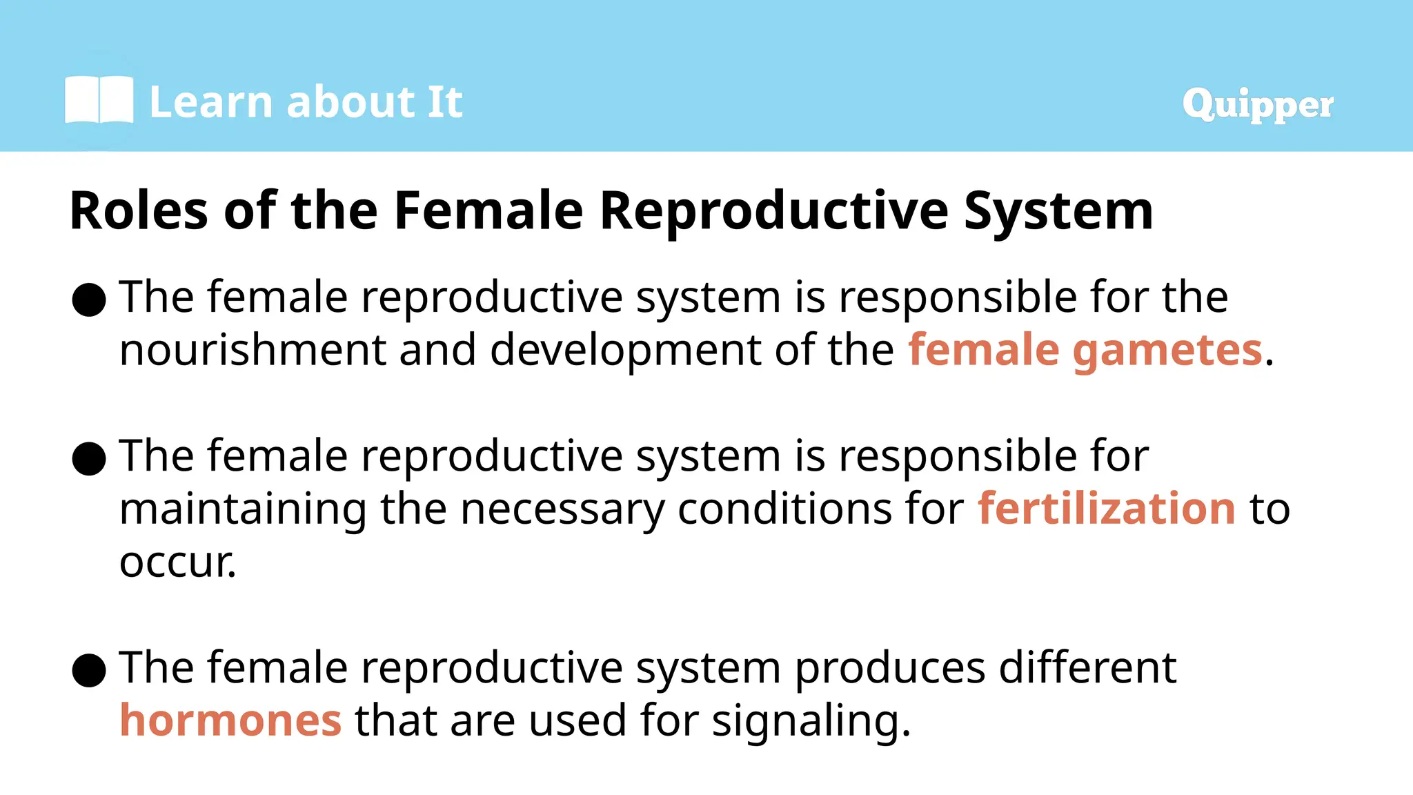 THE FEMALE REPRODUCTIVE SYSTEM FOR GRADE 10 | PPTX