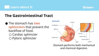 ME Sci 8 Q4 Organs of the Digestive System.pptx