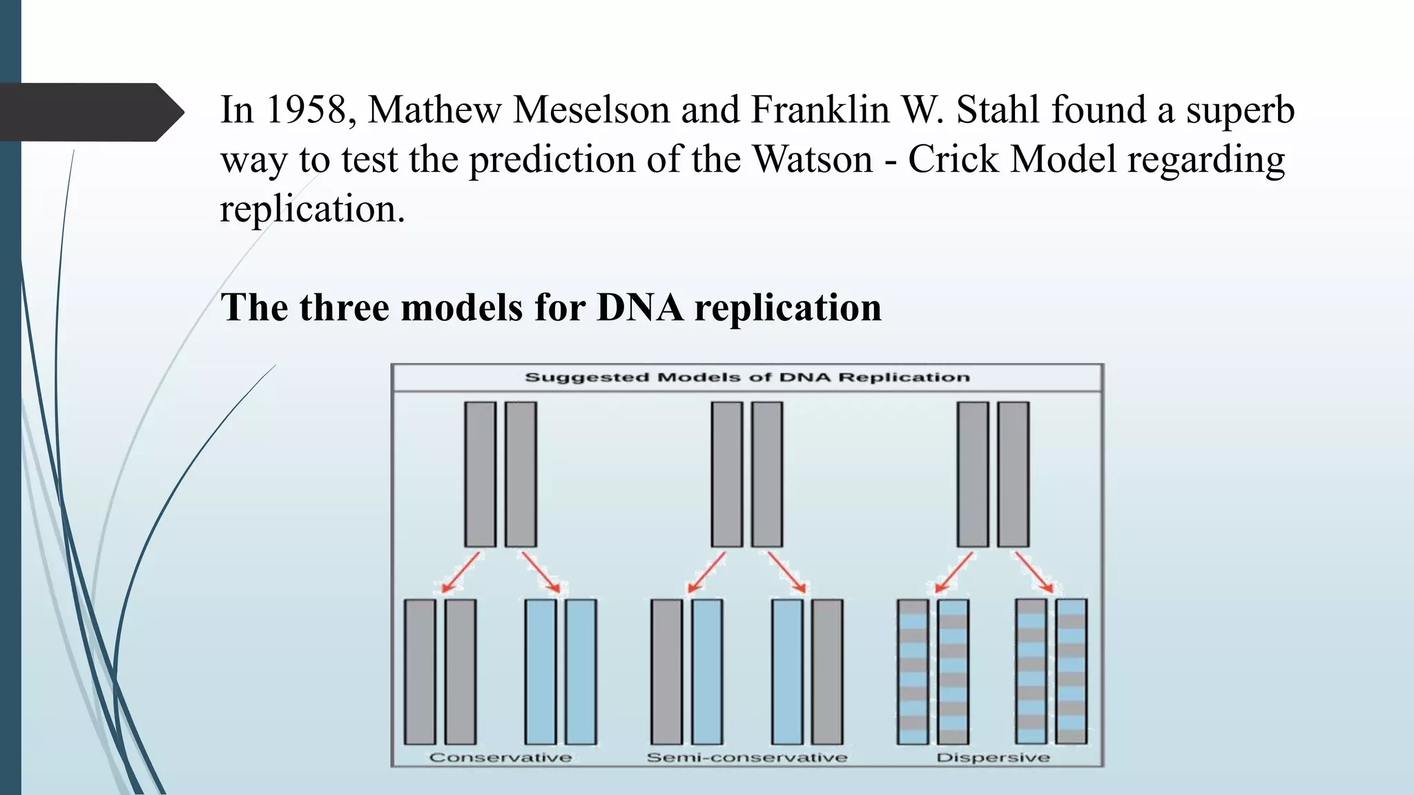 M. Meselson and F. Stahl experiment | PPTX