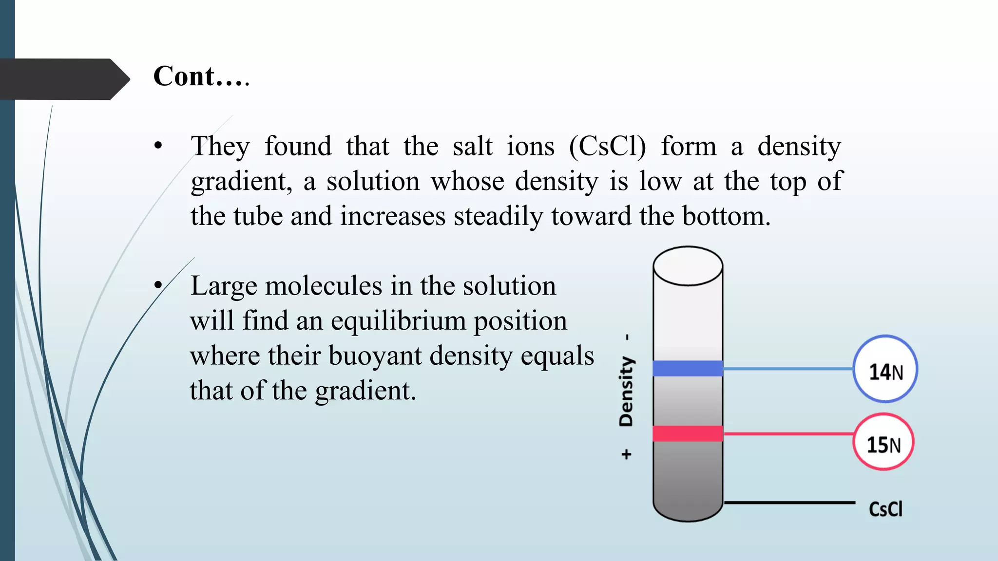 M. Meselson and F. Stahl experiment | PPTX