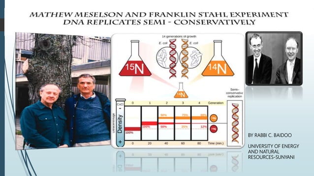 M. Meselson and F. Stahl experiment | PPTX | Chemistry | Science