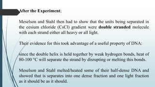 M. Meselson and F. Stahl experiment | PPTX