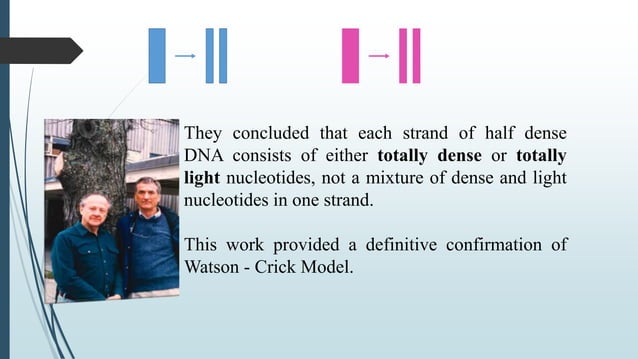 M. Meselson and F. Stahl experiment | PPTX | Chemistry | Science