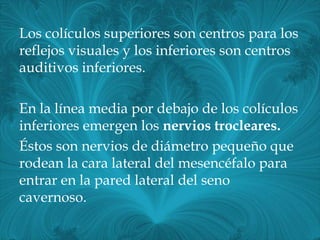 Mesencéfalo | PPTX