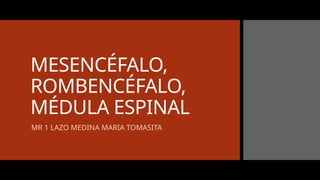 MESENCÉFALO, ROMBENCÉFALO, MÉDULA ESPINAL.pptx