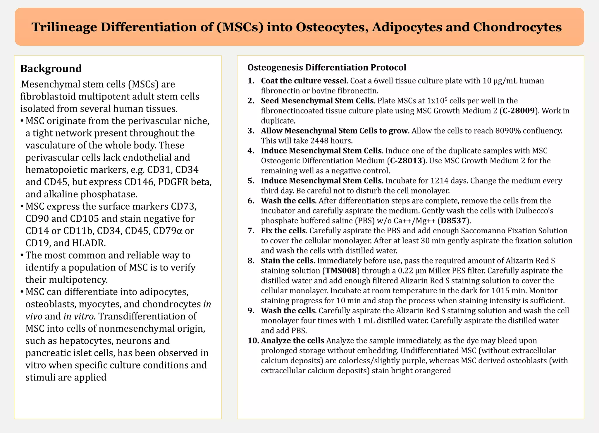 Mesenchymal Stem Cells.pptx