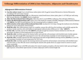 Mesenchymal Stem Cells.pptx