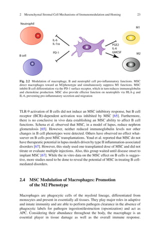 Mesenchymal stem cell therapy | PDF