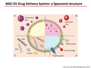 Mesenchymal Stem Stromal Cells Seretome For Regenerative Medicine And ...