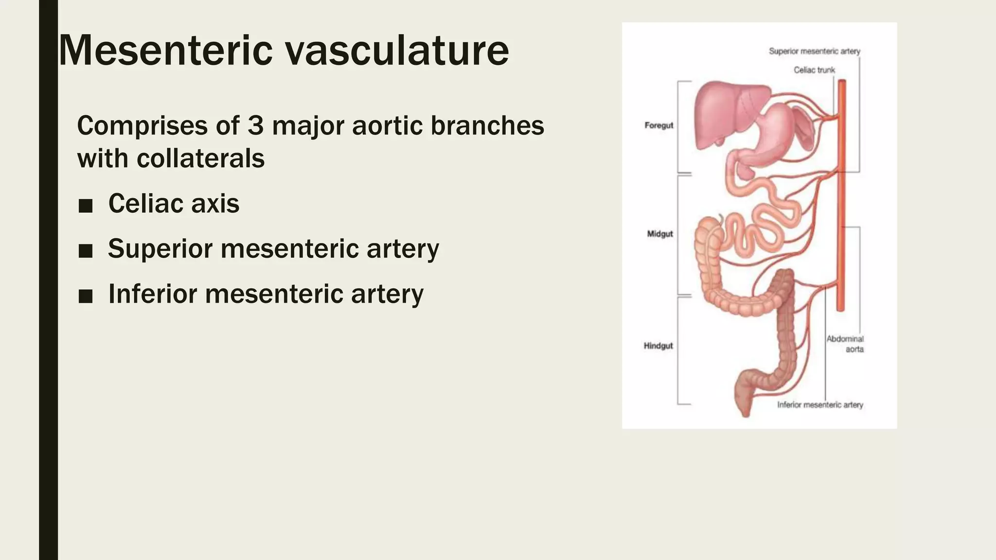 Mesenteric ischemia | PPTX