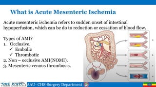 Acute Mesenteric Ischemia.pptx Addis Ababa Uriversity, Ethiopia | PPTX