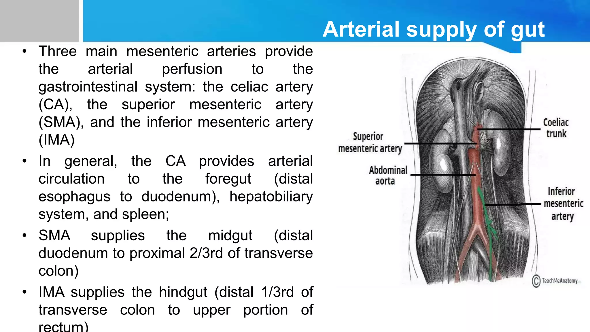 Mesenteric Ischemia | PPTX