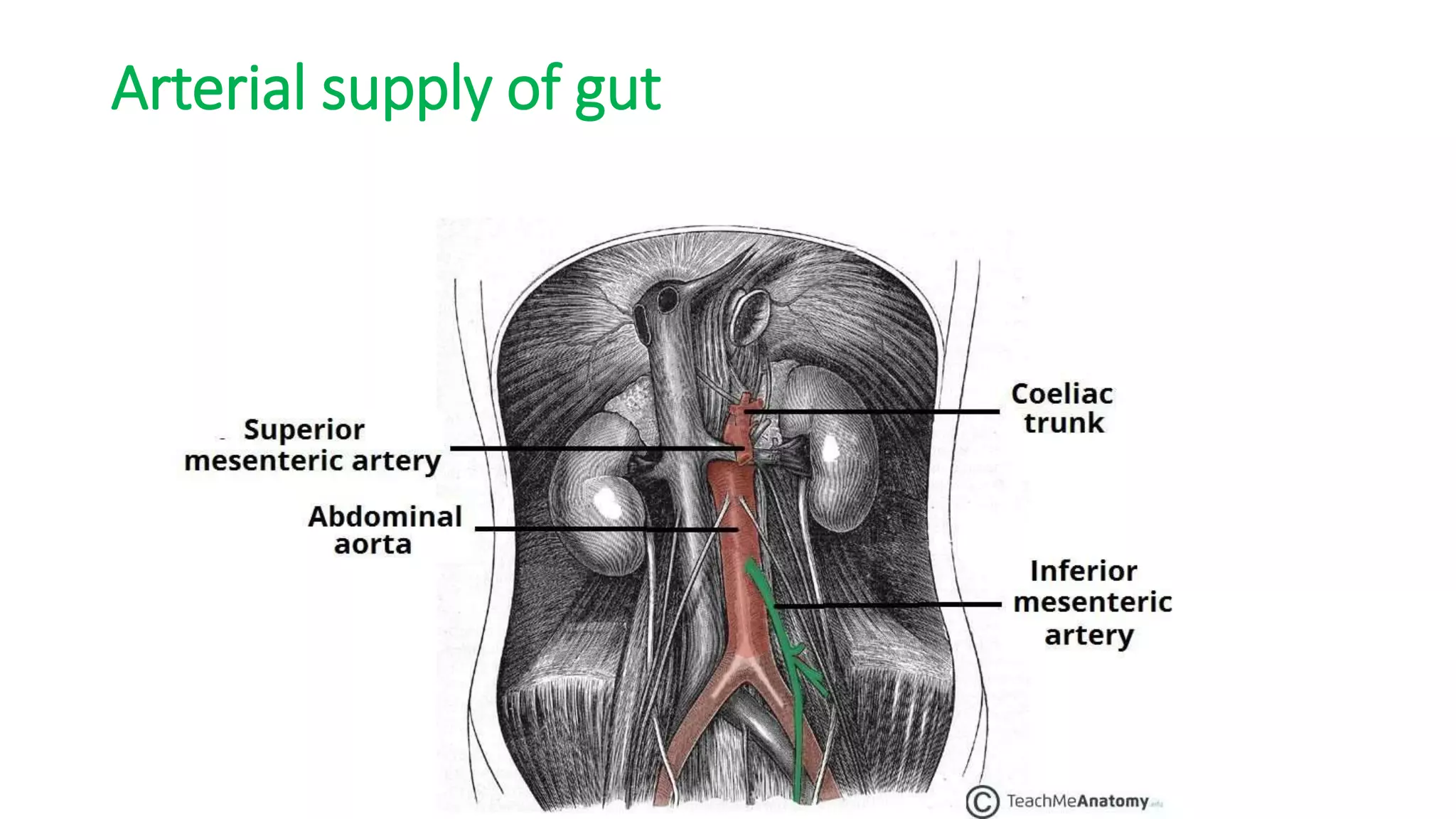 Mesenteric Ischemia | PPTX