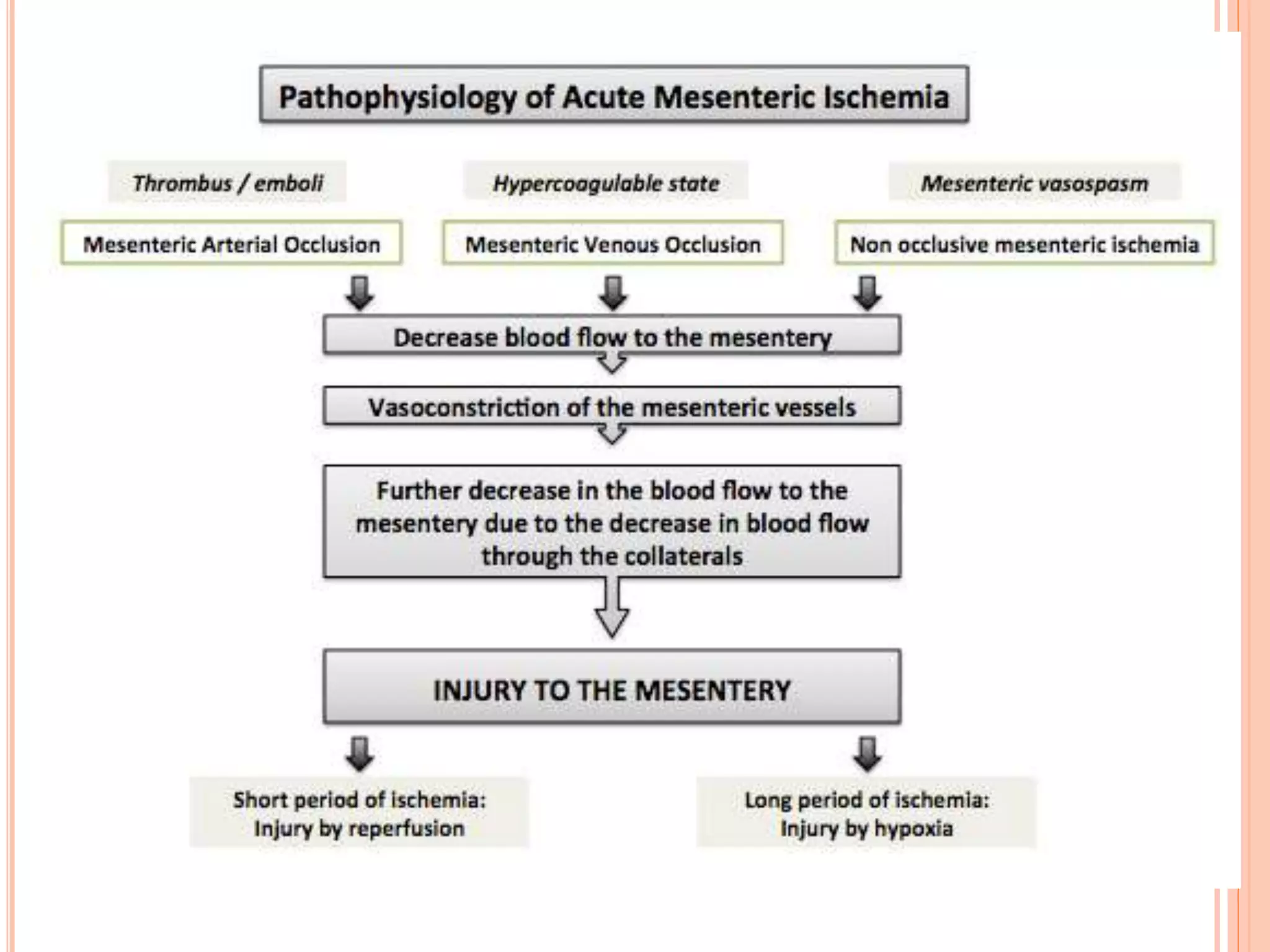 Mesenteric ishemia ankur | PPTX