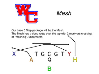 Mesh | PPT
