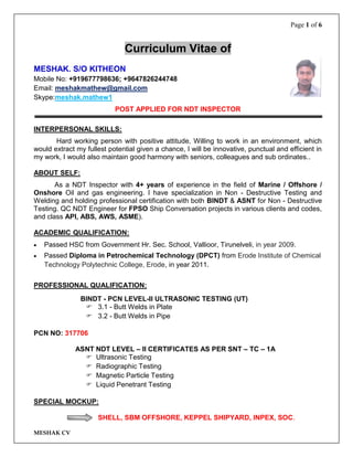Meshak cv | PDF