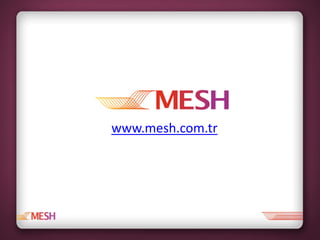 Mesh Company Presentation | PPT