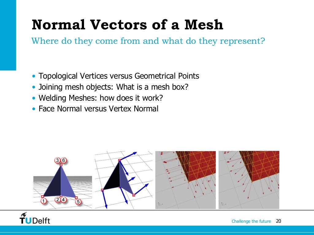 Polygon Mesh Representation