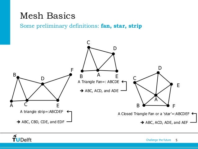 Polygon Mesh Representation