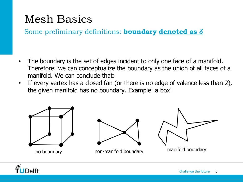 Polygon Mesh Representation