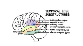 MESIAL TEMPORAL ALZHEIMER DISEASE P.pptx