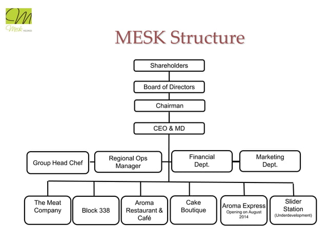 Mesk Holdings | PDF