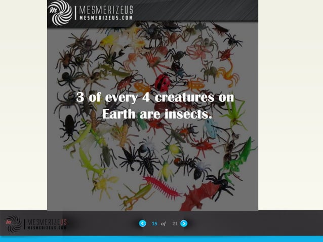 Interesting Facts | PPT