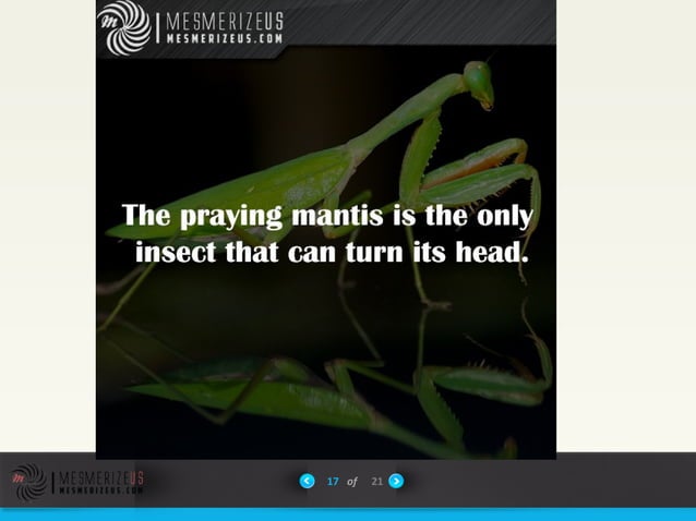 Interesting Facts | PPT