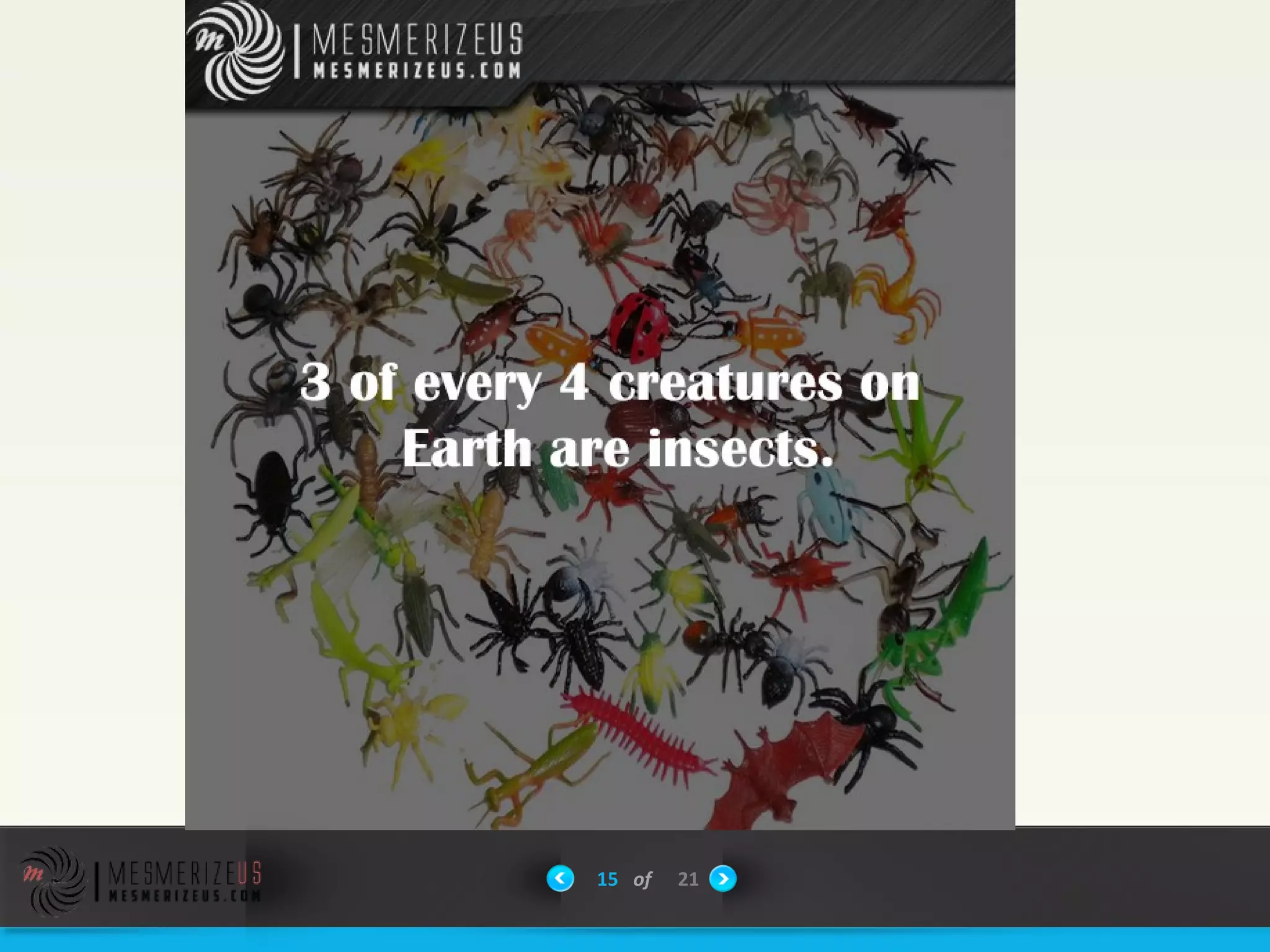Useless Facts | PPT