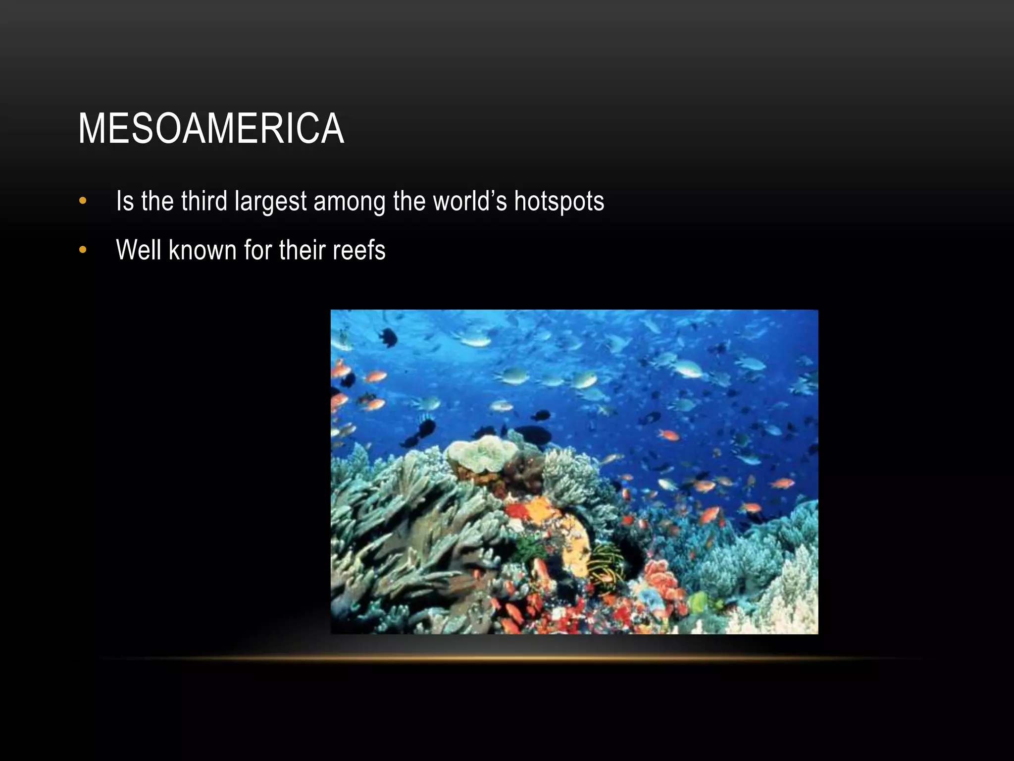 Mesoamerica | PPT