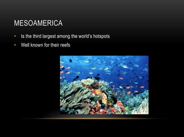 Mesoamerica | PPT