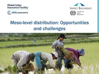 Webinar on Meso-level distribution: Opportunities and challenges | PPTX ...