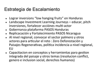 Michaelyn Baur, Solidaridad, Aceleradora Mesoamericana de Paisajes | PPT