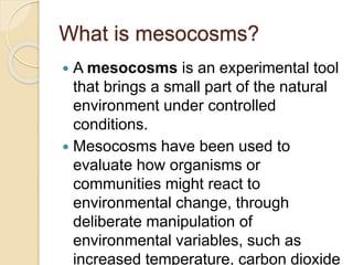Mesocosms | PPTX