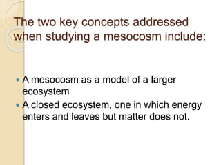 Mesocosms | PPTX