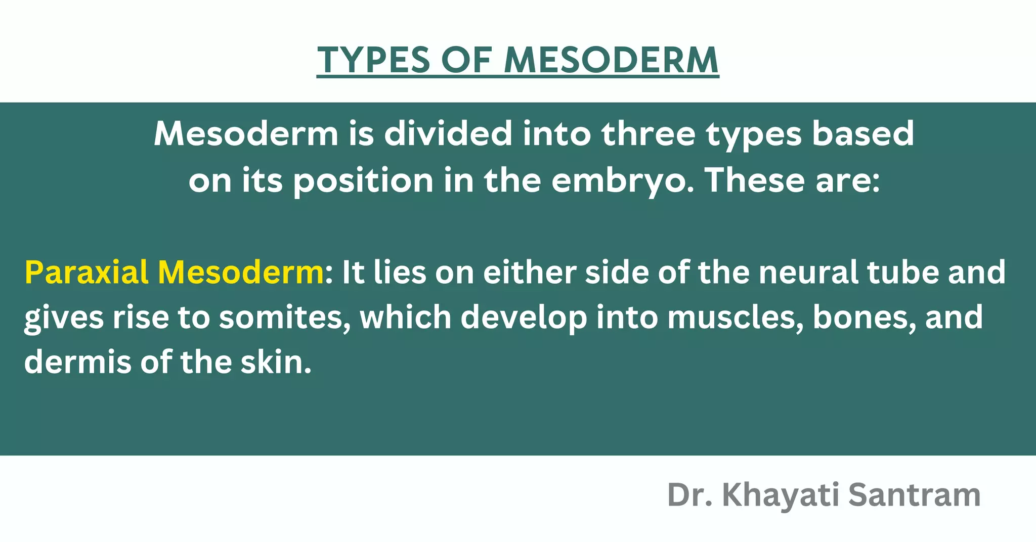 Mesoderm Anatomy.pdf