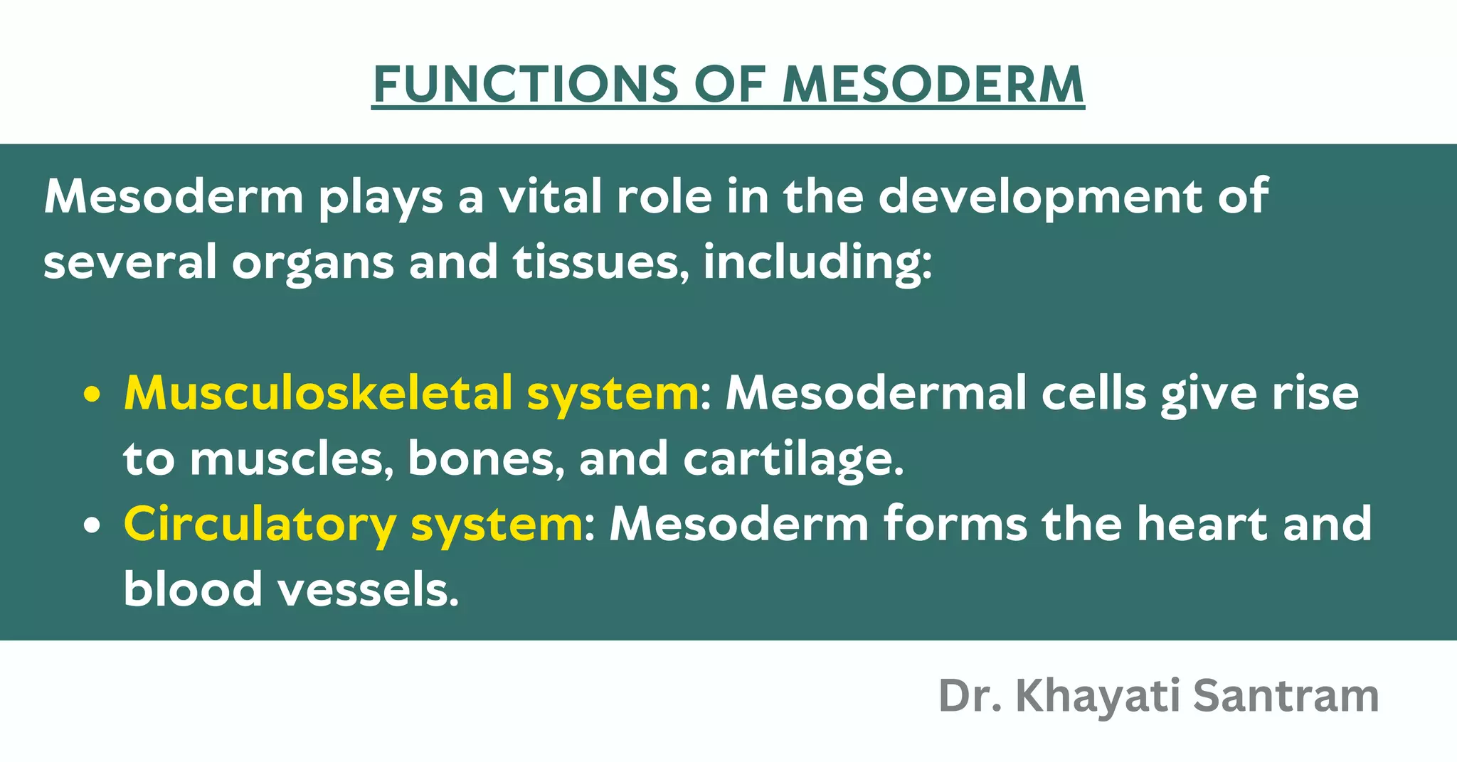 Mesoderm Anatomy.pdf