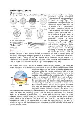 Mesoderm induction see page 5 | PDF | Biological Sciences | Science