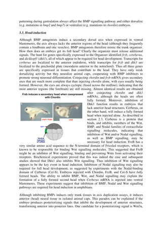 Mesoderm induction see page 5 | PDF | Biological Sciences | Science