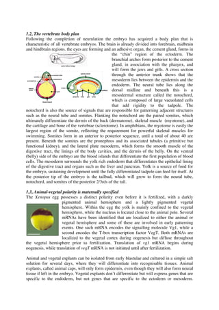 Mesoderm induction see page 5 | PDF | Biological Sciences | Science