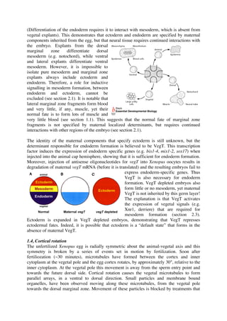 Mesoderm induction see page 5 | PDF | Biological Sciences | Science