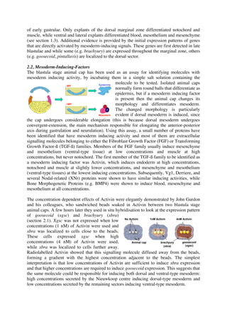 Mesoderm induction see page 5 | PDF | Biological Sciences | Science