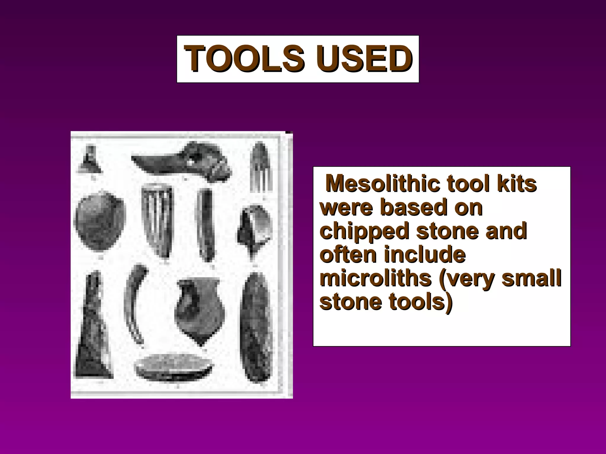 Mesolithic age | PPT