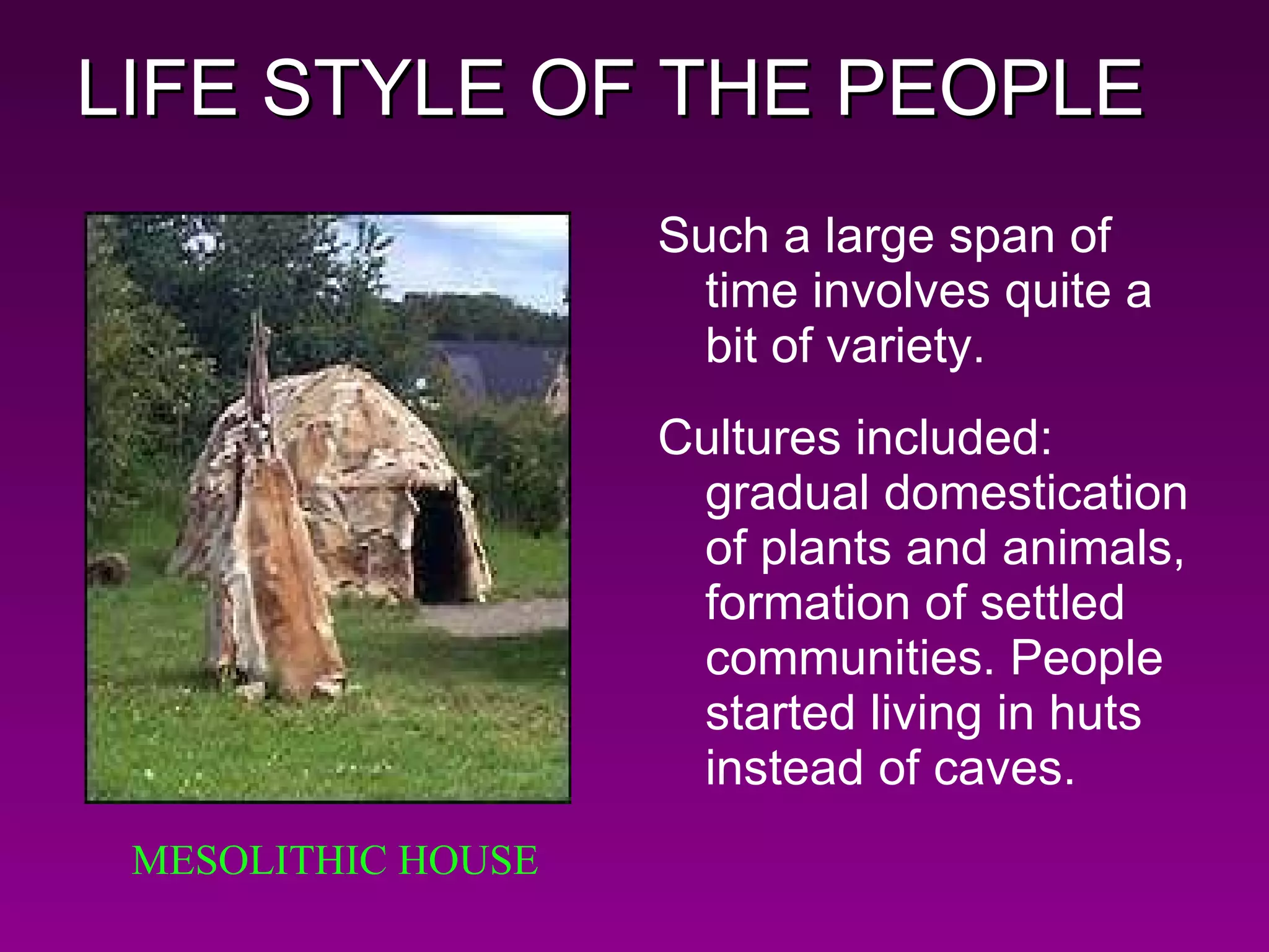 Mesolithic age | PPT